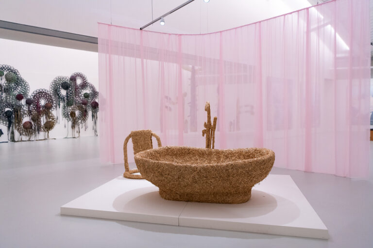 De koloniale zonnekoning is een vampier - Museumtijdschrift